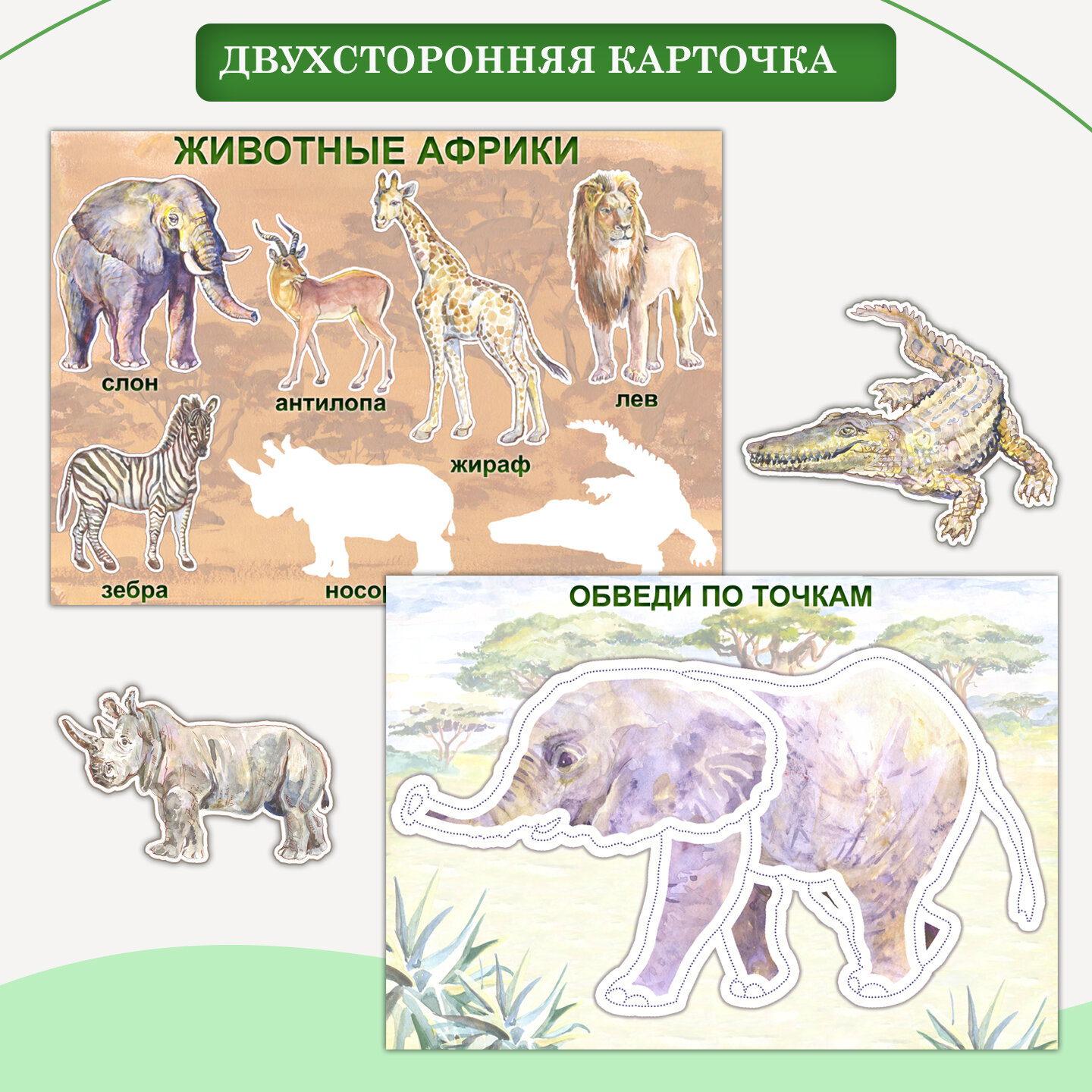 Развивающее пособие «Животные Африки" (саванна). Двухсторонняя карточка.