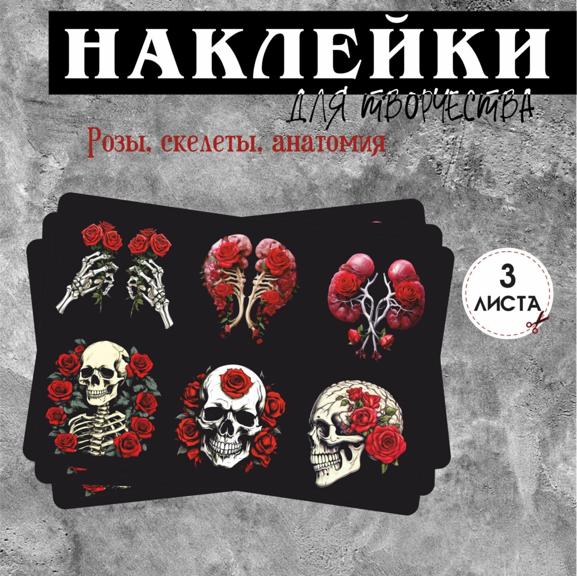 Набор наклеек RiForm "Розы, скелеты, анатомия", 3 листа 6 наклеек, 5см