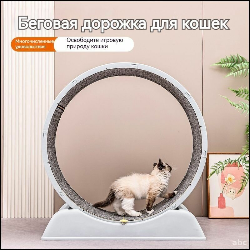 Бестселлер 80 см: беговая дорожка для активных кошек, игрушки