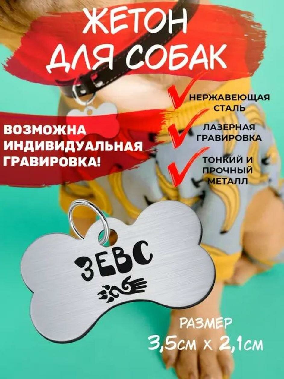 Адресник для собаки с гравировкой, нерж. сталь, серебристый, Зевс