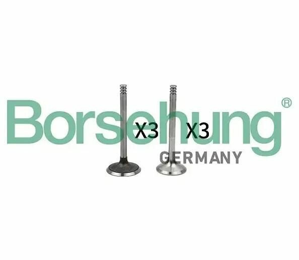 Комплект клапанов Borsehung B18765 3 выпускных 31.5x7x89 мм и 3 впускных 36x7x89.5 мм, Audi A3, A4, VW Bora, Golf, Passat 1.4 TDi, 1.9 TDi, 2.0 TDI двигатель Bмм, BDJ, BMP, AVQ, BGW, BLS 99-