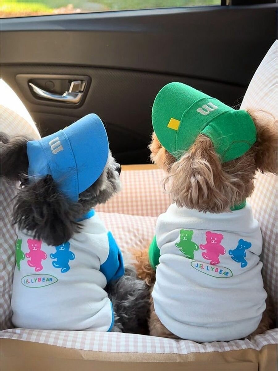 Кепка для собак