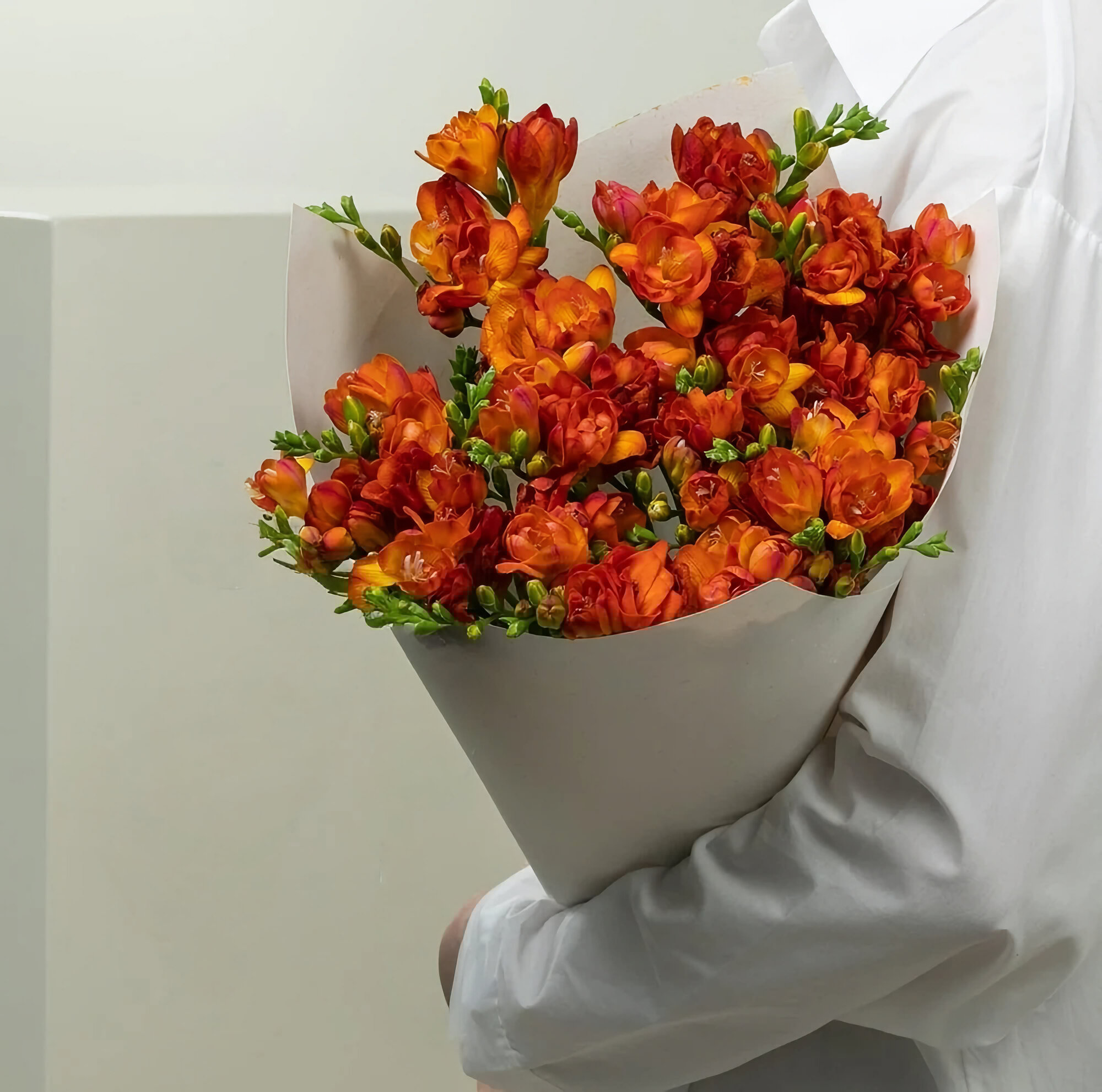 Букет из пламенных фрезий (101 стебель)