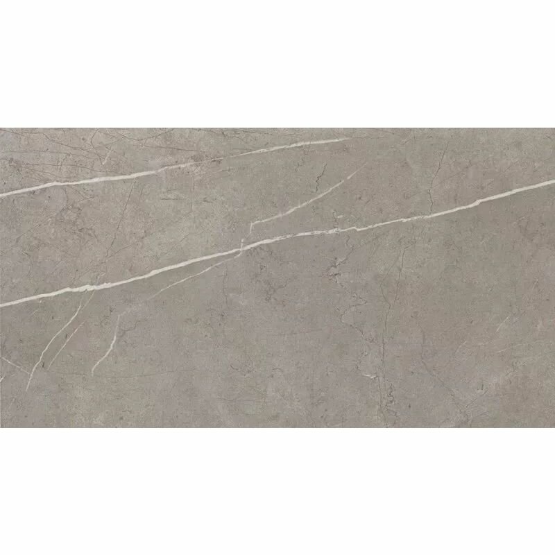 Керамическая плитка Atlas Concorde (Атлас Конкорд) Marvel Silver Dream (9P5S) 30,5x56 см