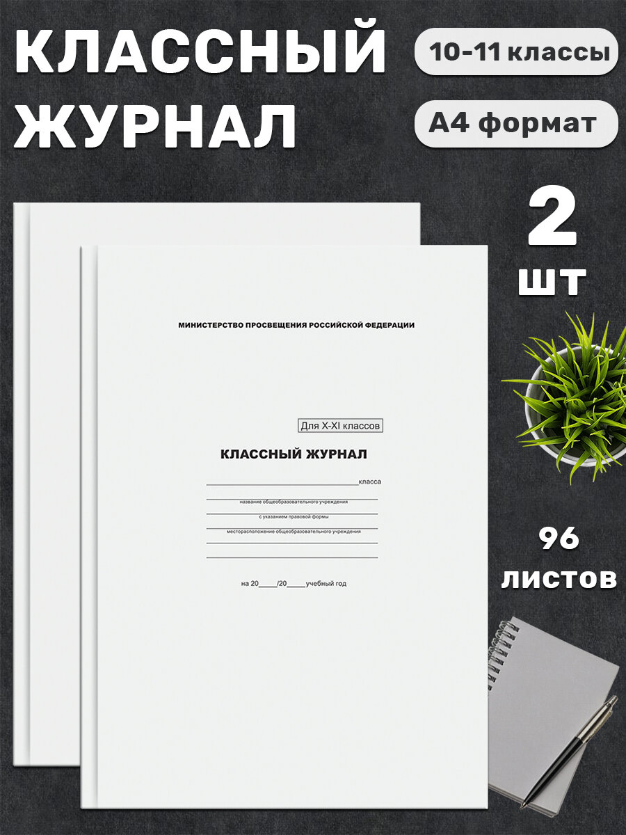 BG Классный журнал для 10-11 классов, 2 шт