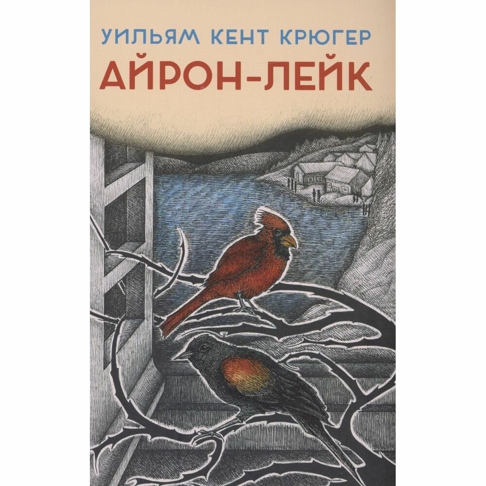 Книга Карьера Пресс Айрон-Лейк. 2023 год, Крюгер У.