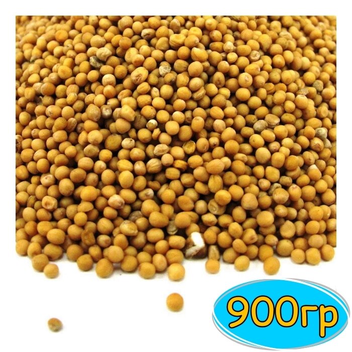 Горчичное семя желтое, зерна горчицы, Вегетарианский продукт, Vegan 900 гр