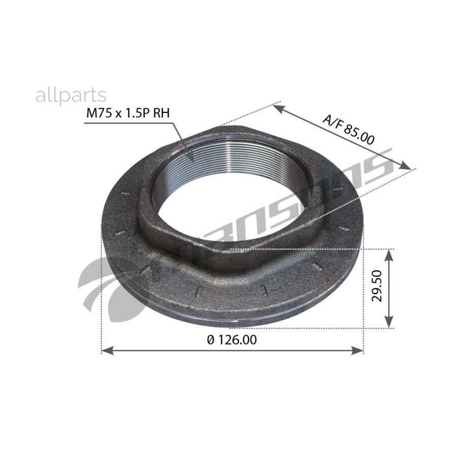 MANSONS 600170 гайка! M75x1.5/SW85 справа\ SAF