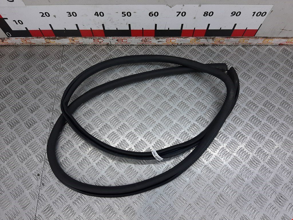 Уплотнитель двери BMW 7-Series (F01/F02) 51727231334 арт. 653611