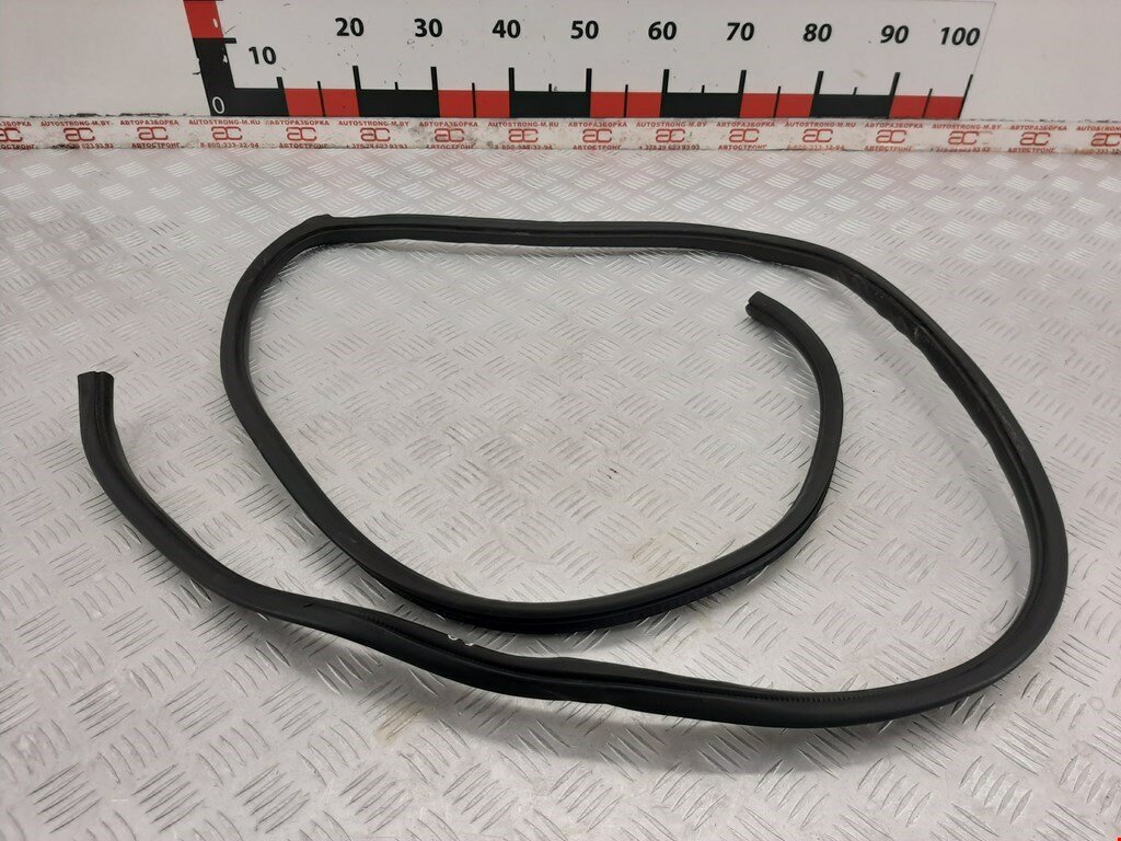 Уплотнитель двери Nissan Murano (Z50) 76921CA012 арт. 776667
