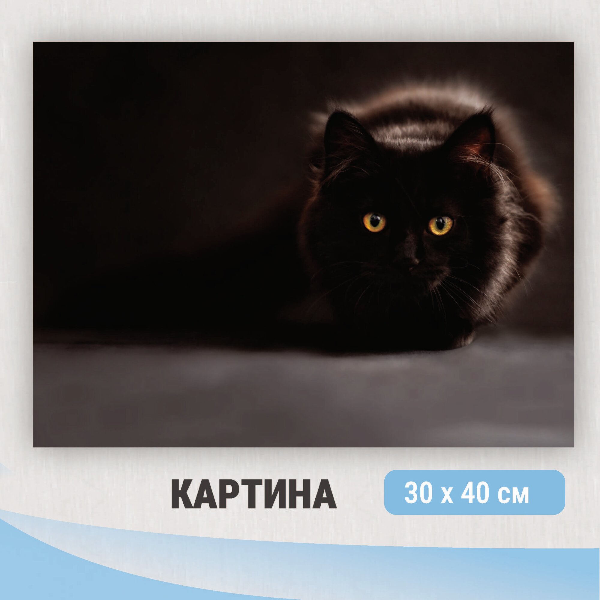 Картина на холсте "Черный кот" / декор и стилизация интерьера квартиры, дома, офиса / 40см-30см.