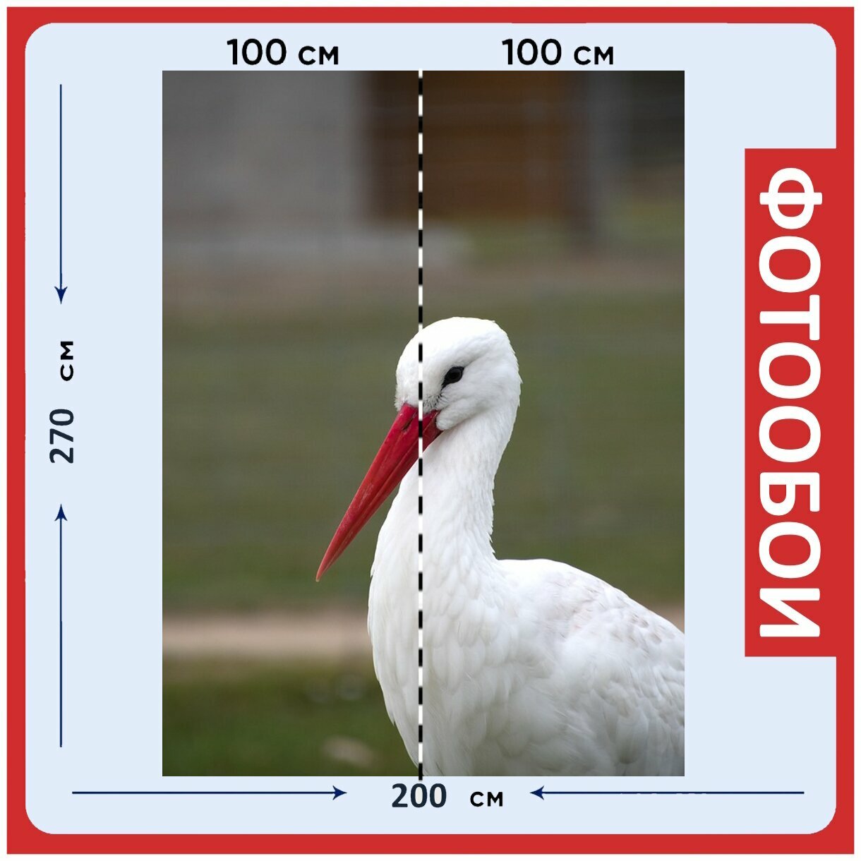 Фотообои "Аист, птица, белый аист" 200x270 см. флизелиновыена стену