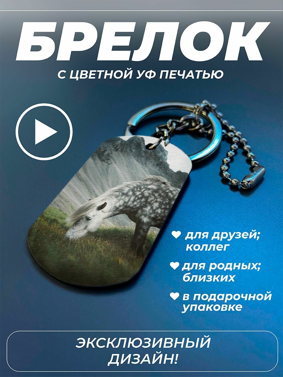 Брелок PNP