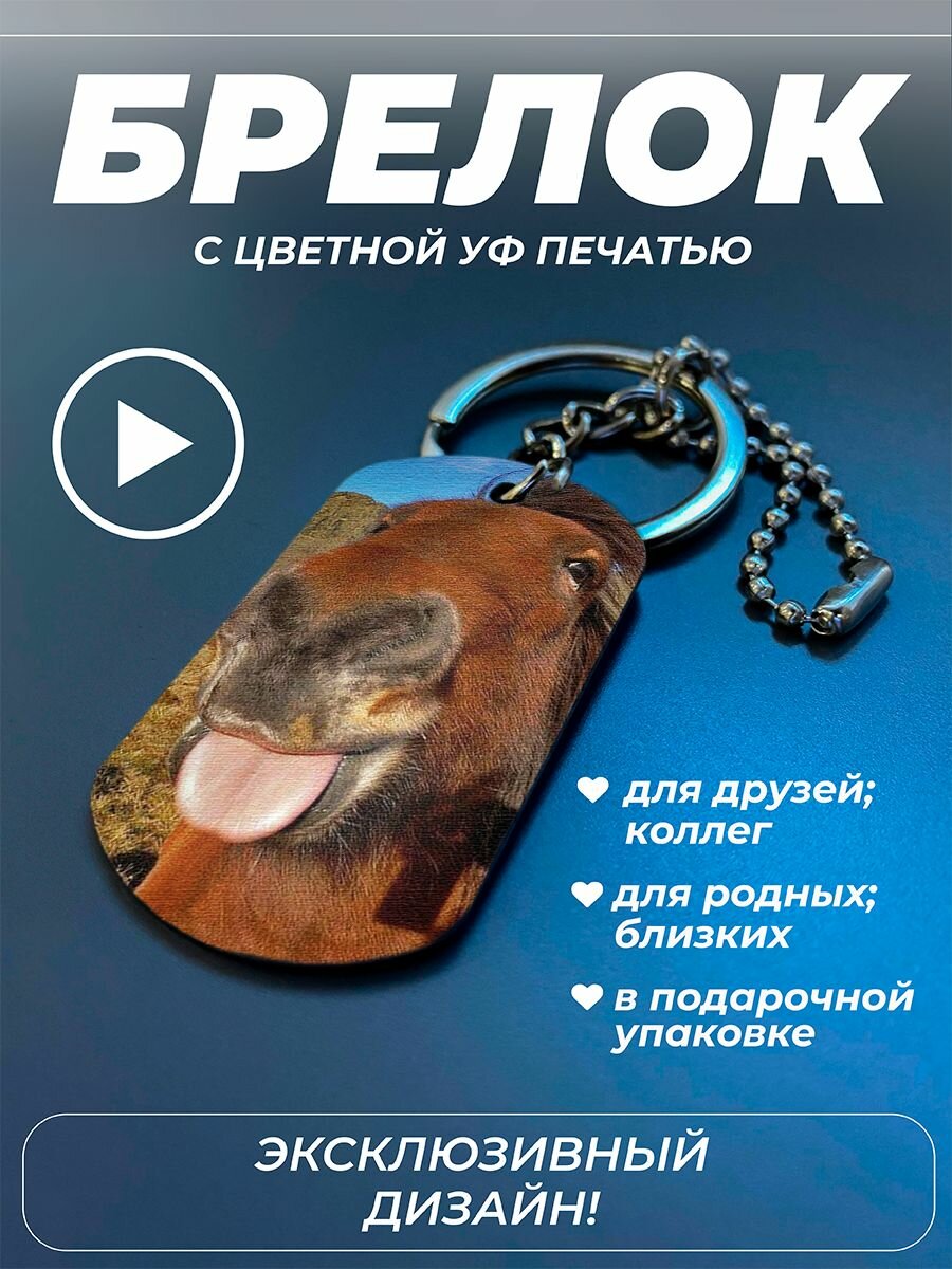 Брелок PNP