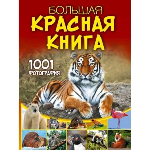 Детская энциклопедия АСТ Большая книга обо всем. Большая красная книга. 1001 фотография Спектор 2024 г 7Б, 288 стр