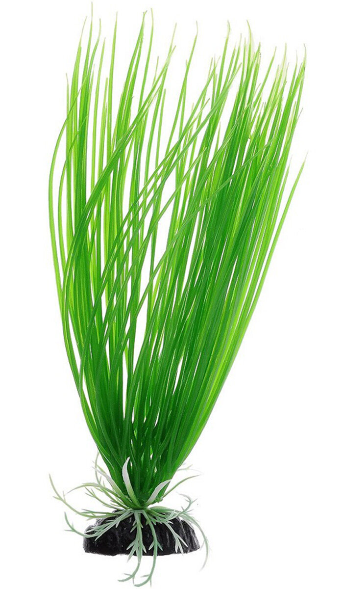 Растение для аквариума пластиковое Акорус зеленый, BARBUS, Plant 007 30 см