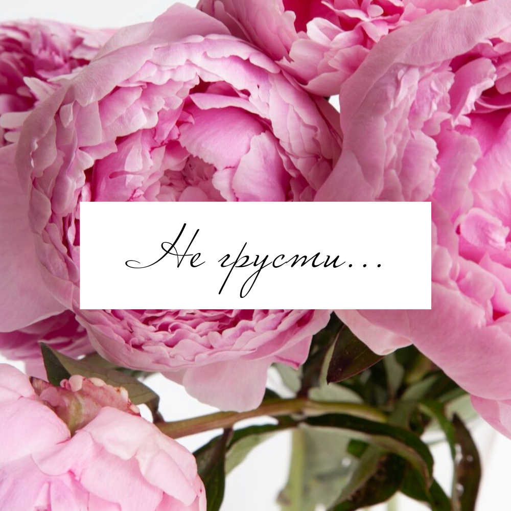 Открытка с пожеланиями