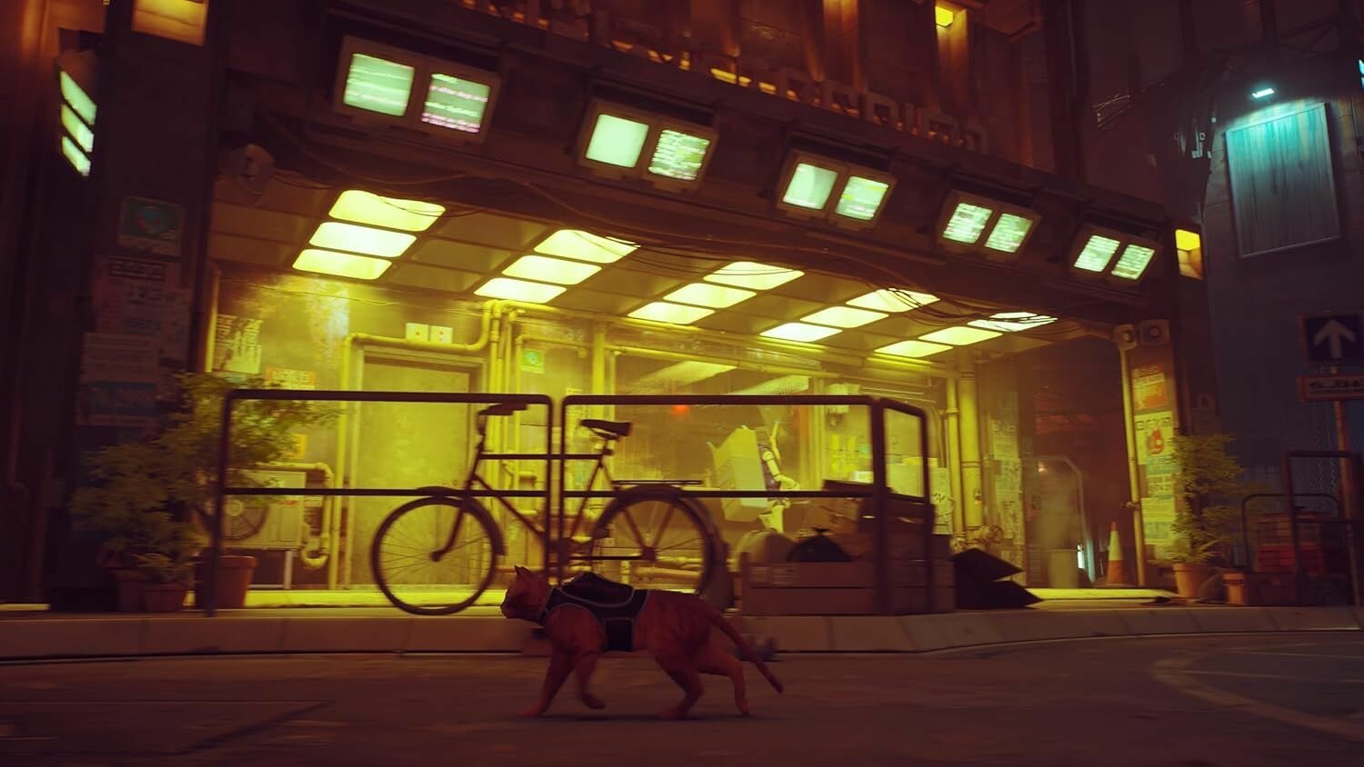 Видеоигра STRAY для Nintendo Switch, картридж, русские субтитры — фото 1