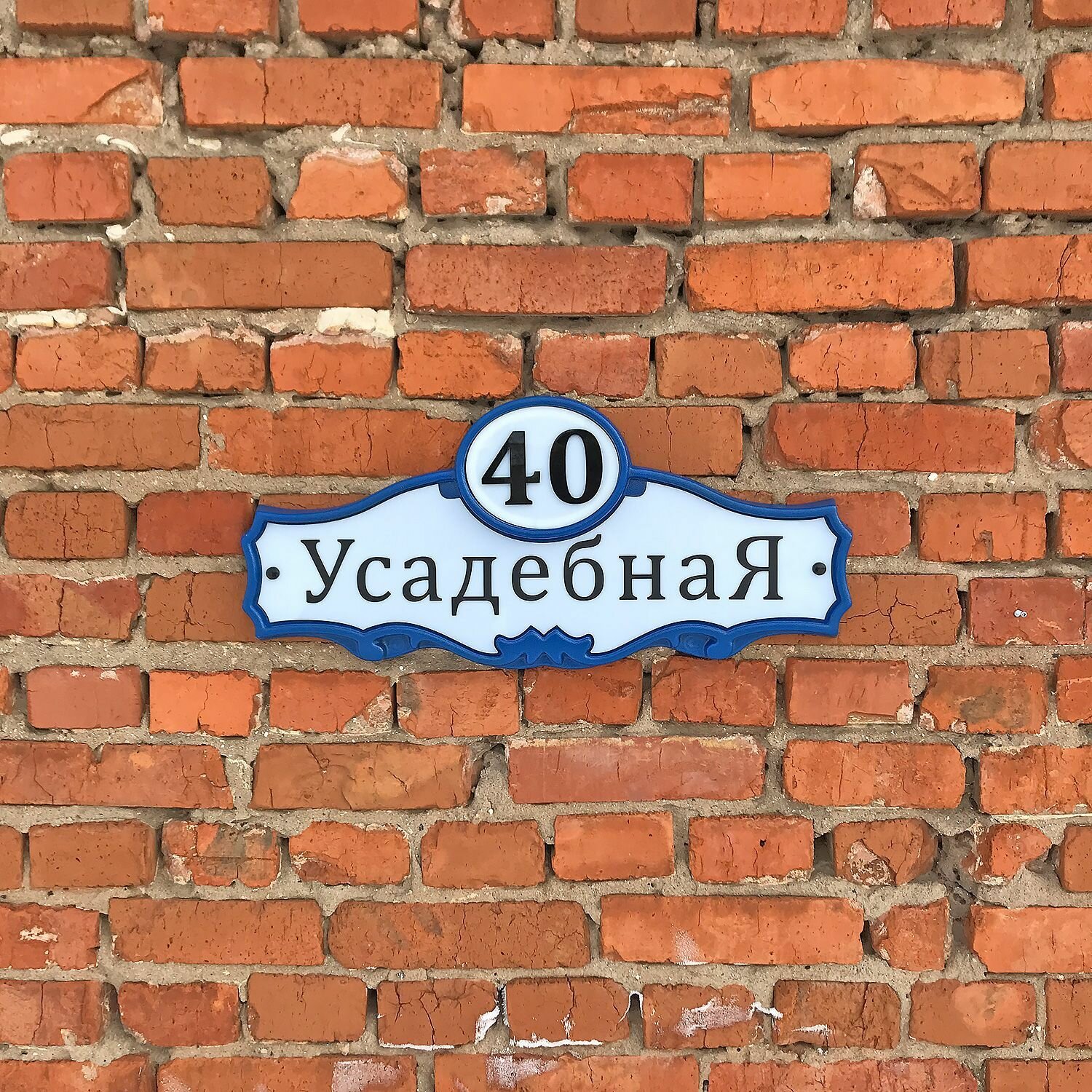 Адресная табличка на дом "Домовой знак" синий, 610х270 мм, из пластика