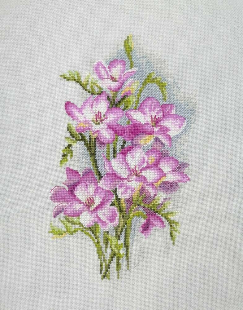 Фрезии 04.004.15