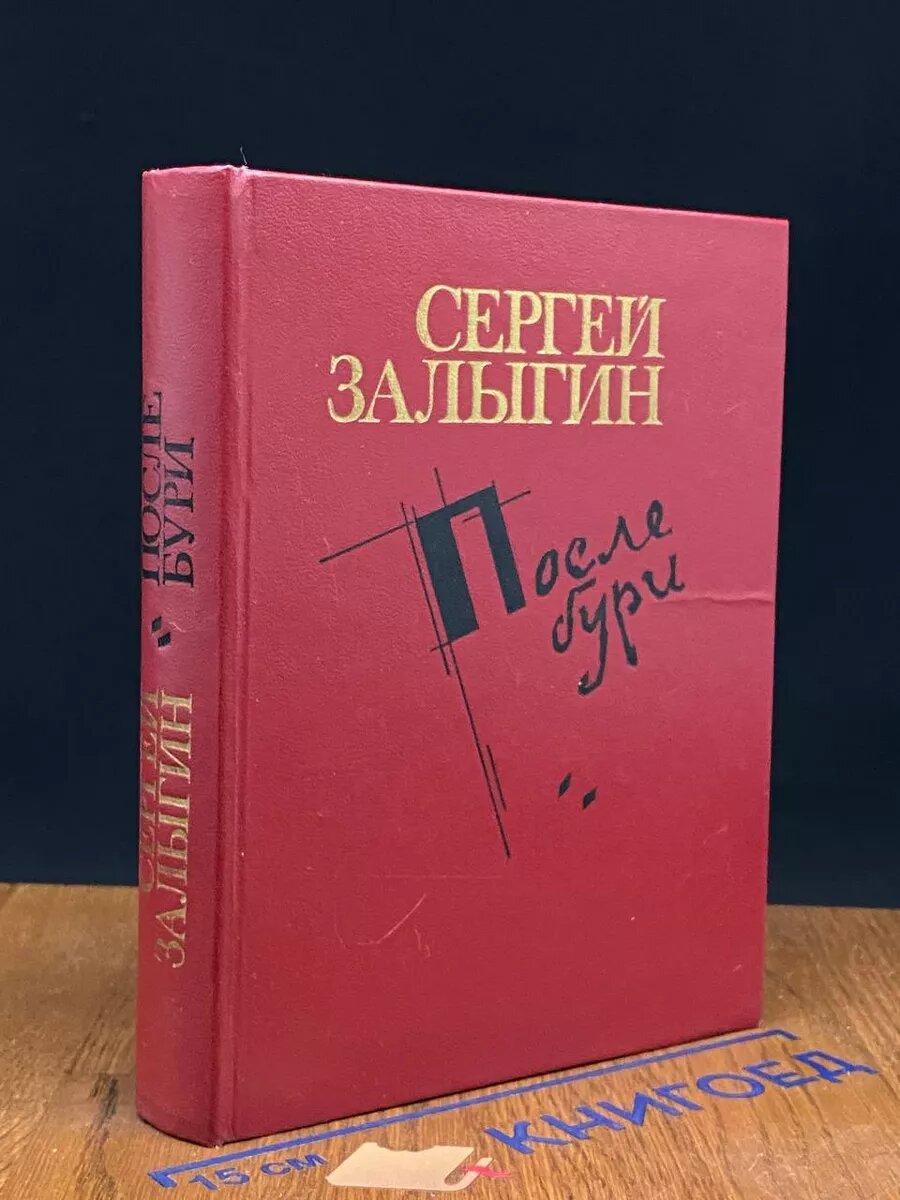 Книга. После бури. Книга 2 1986 (2041123693296)