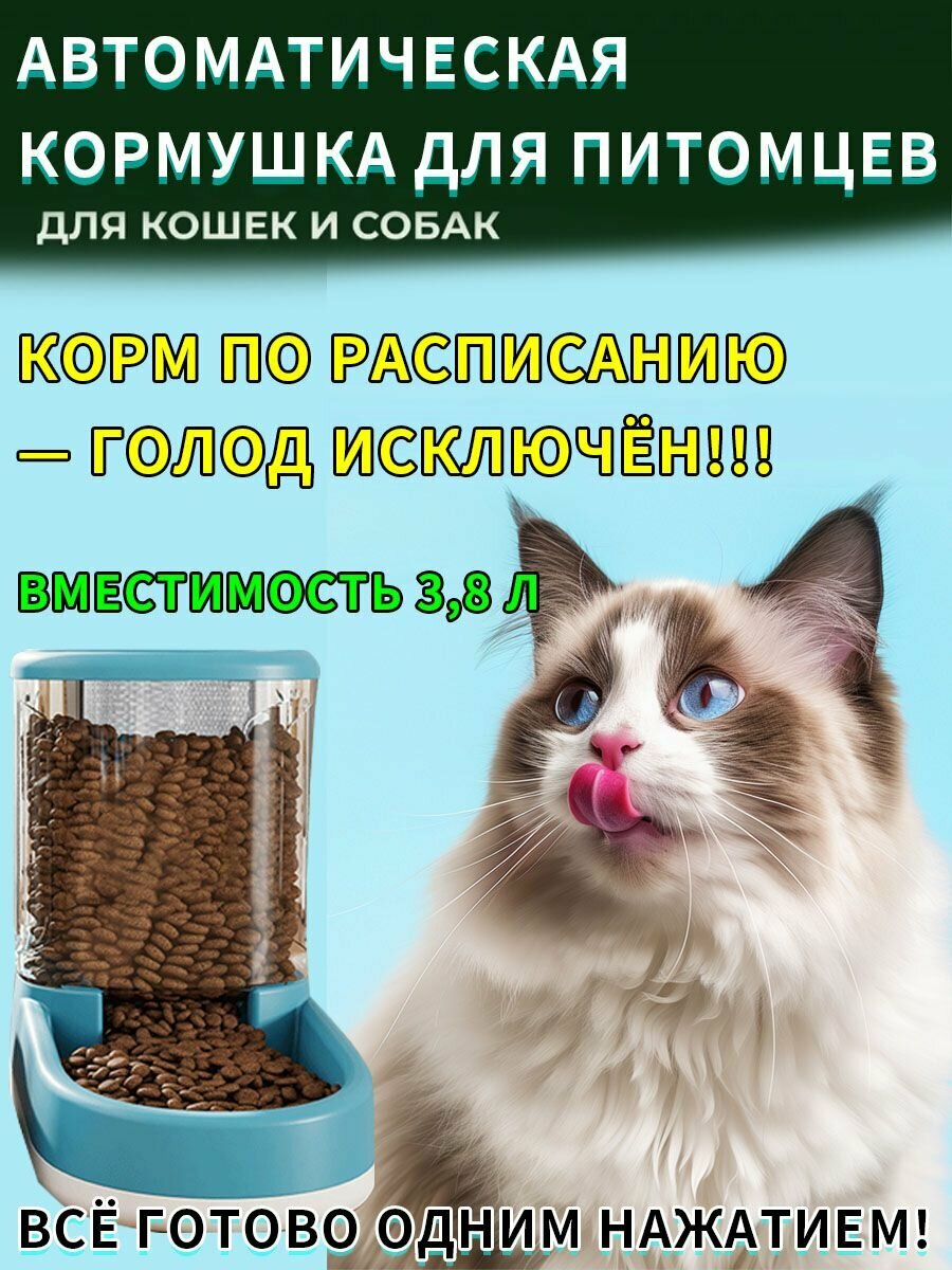 Автоматическая кормушка, для собак, кошек и кроликов, 3.8 л, голубая