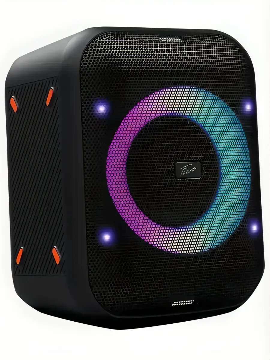 Портативная аудиосистема Emotion 100 FR800