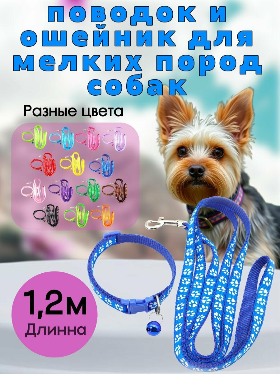 Поводок и ошейник для собак мелких пород щенков и кошек цвета，Подходит для домашних животных весом 2-5 кг