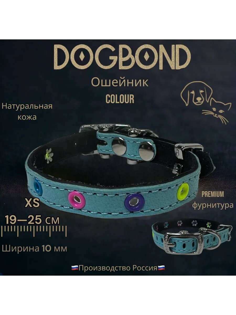 Ошейник Dogbond Colour кожаный для собак малых пород и кошек