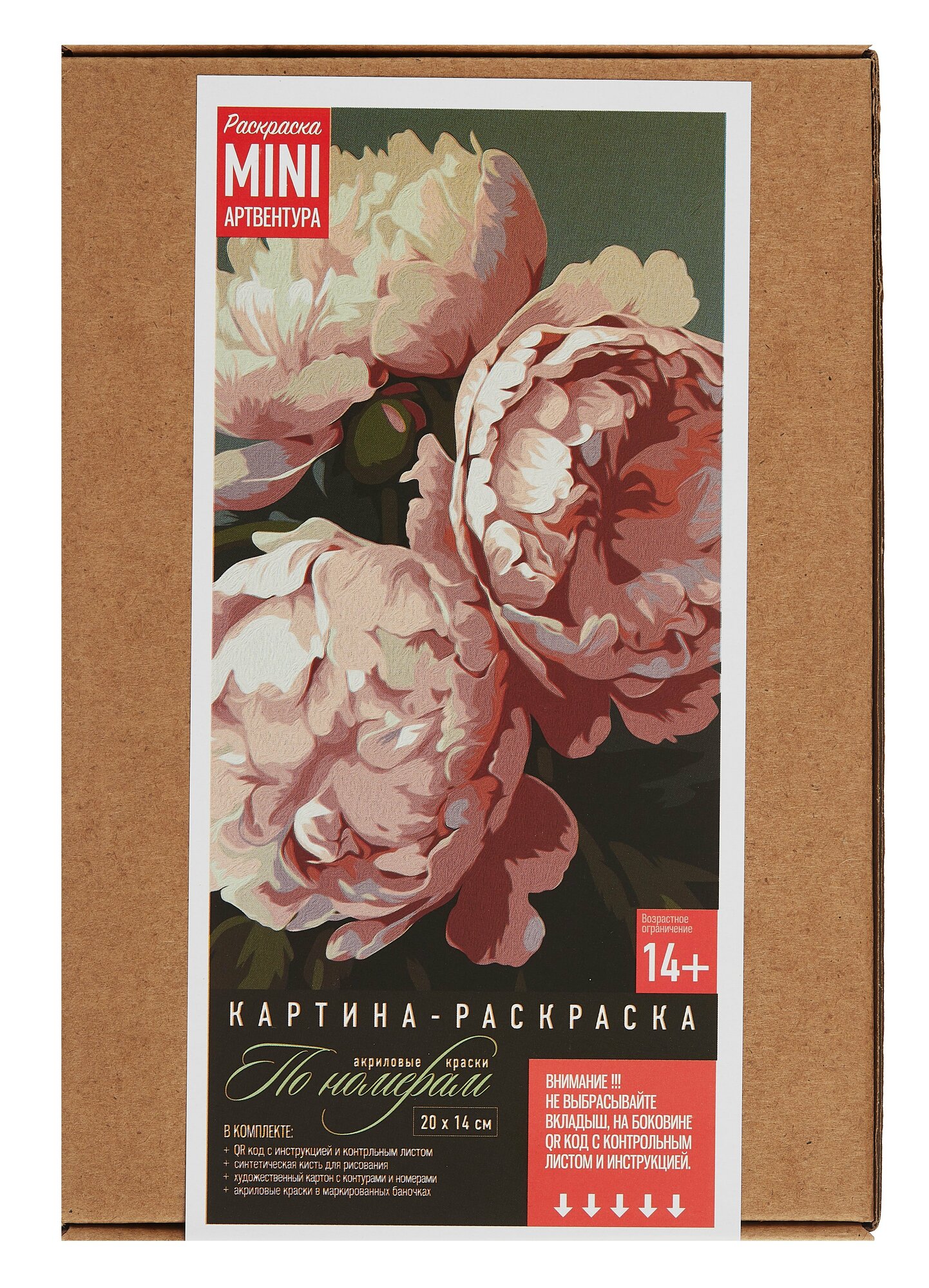 Картина-раскраска по номерам Пионы