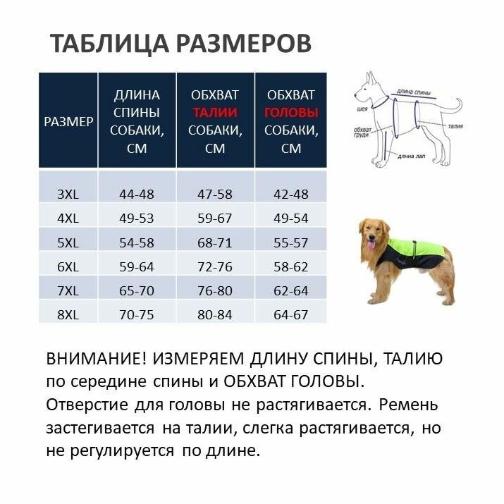 Одежда для животных — фото 1