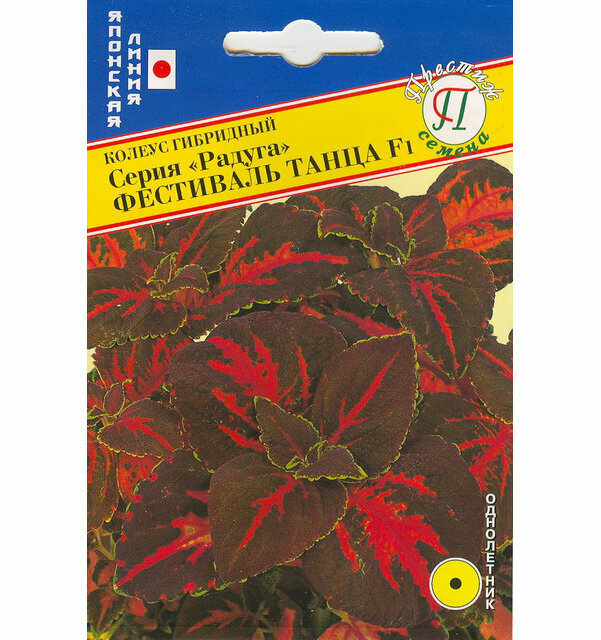 Семена Колеуса гибридного "Фестиваль танца" серии "радуга" F1 (10 семян)