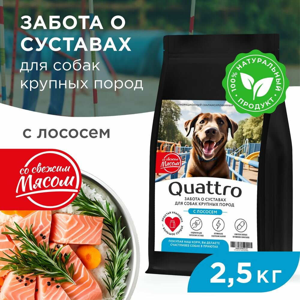 Корм сухой для взрослых собак крупных пород, премиум полнорационный комплекс, забота о суставах, с лососем, 2,5 кг, QUATTRO