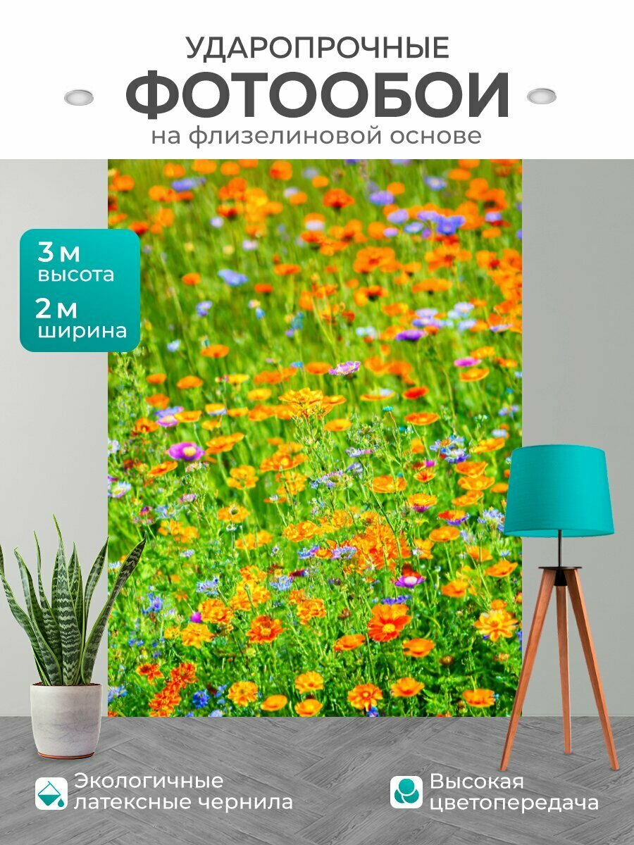 Фотообои моющиеся ударопрочные на кухню "С яркими летними полевыми цветами, придает свежесть и радость" 200x300 см. флизелиновые на стену