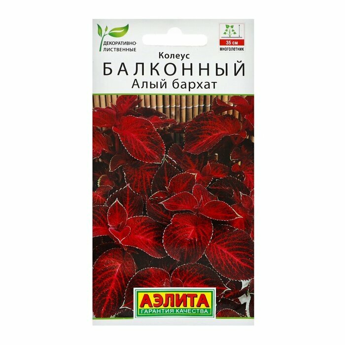 Семена цветов Колеус балконный "Алый бархат", ц/п, 5 шт