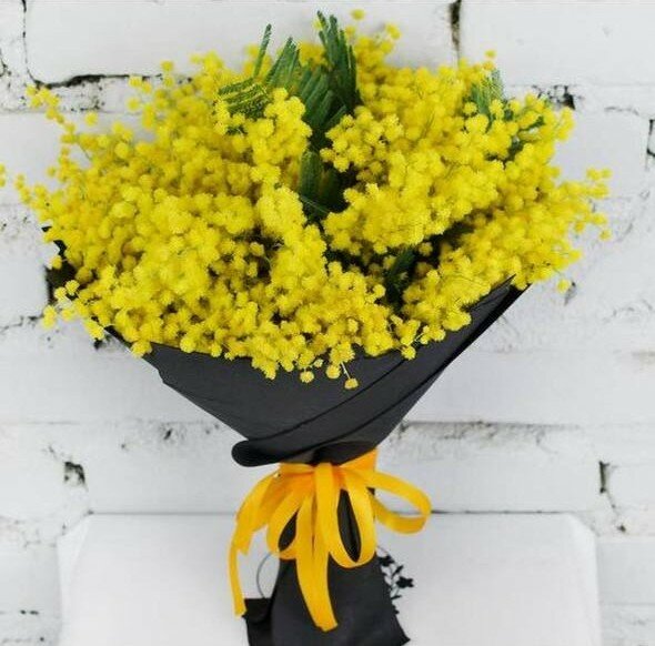 Пышный букет из 15 веток мимозы в чёрной упаковке