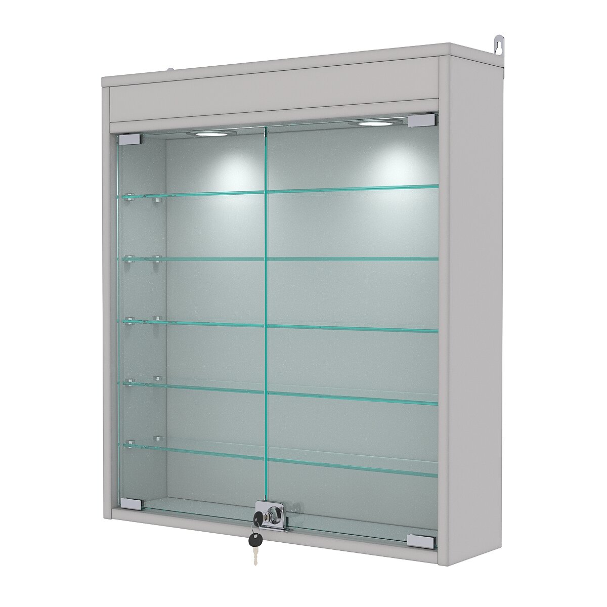 Витрина настенная №1-7А с подсветкой, Серый. Производитель товара - компания Westcom.