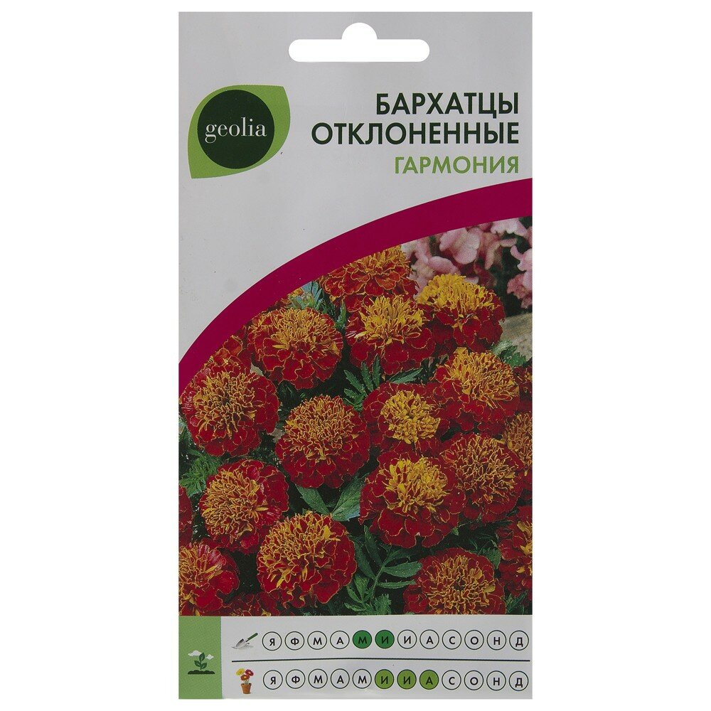 Бархатцы Geolia отклонённые Гармония, (2 упак.)