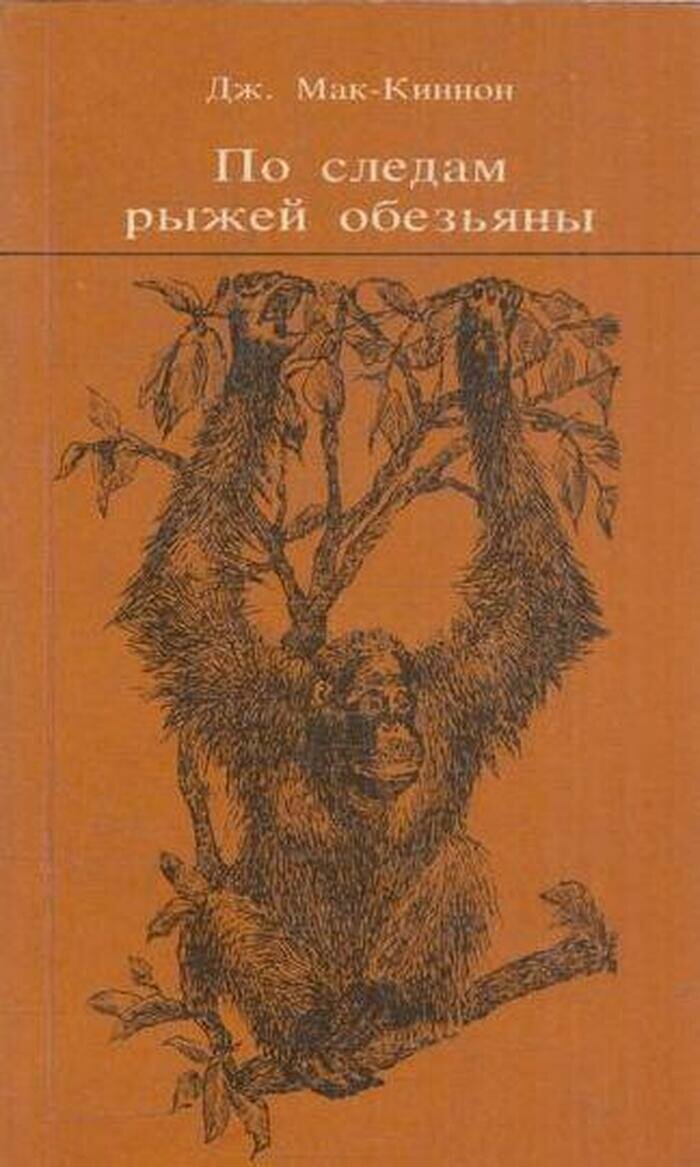 По следам рыжей обезьяны