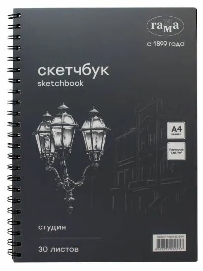 Альбом для графики, 30л, А4, на спирали Гамма "Студия", черный, 140г/м2
