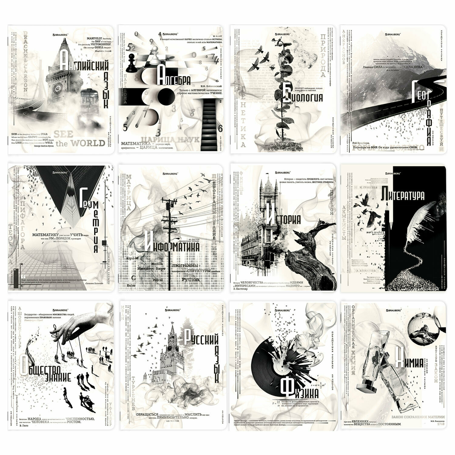 Тетради предметные, комплект 12 предметов, 48 л, матовая ламинация, BRAUBERG, "BLACK&WHITE", 404835