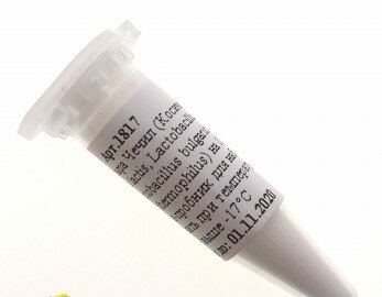 Закваска для сыра Чечил (Косичка) на 10 л молока