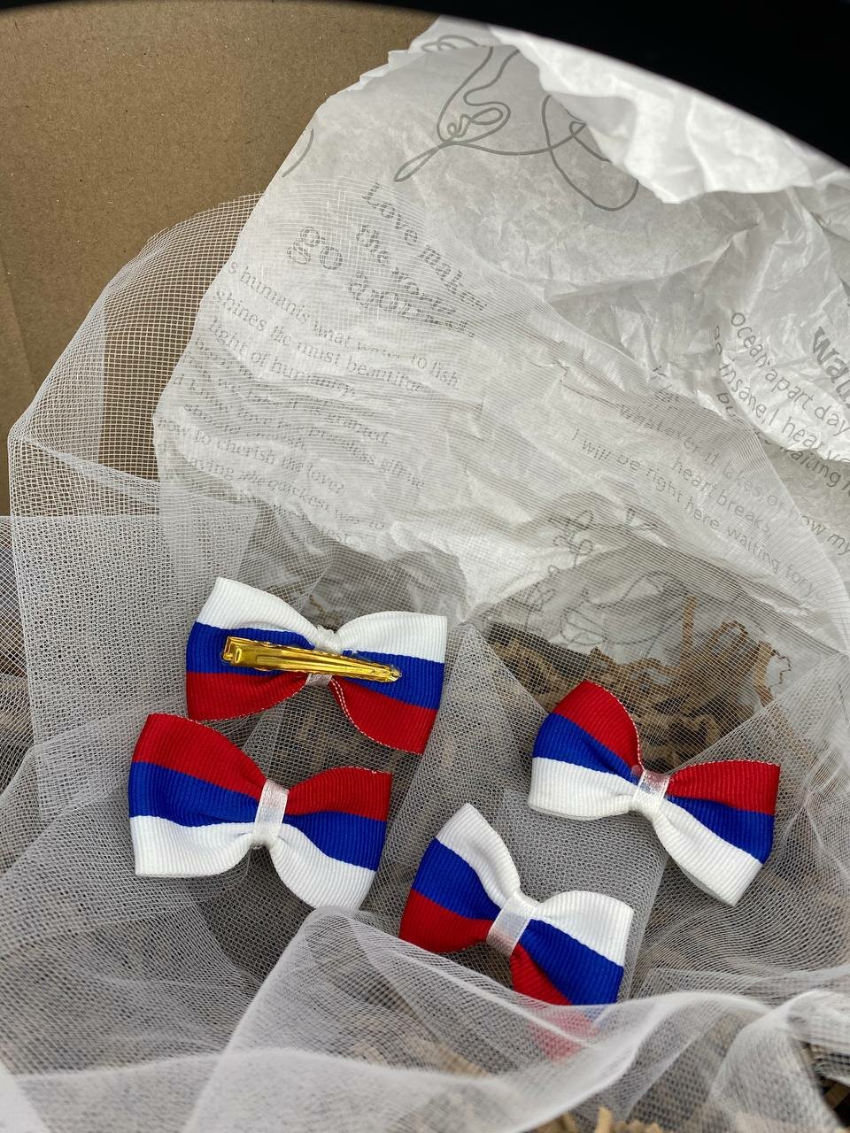 Заколки "Бант триколор"