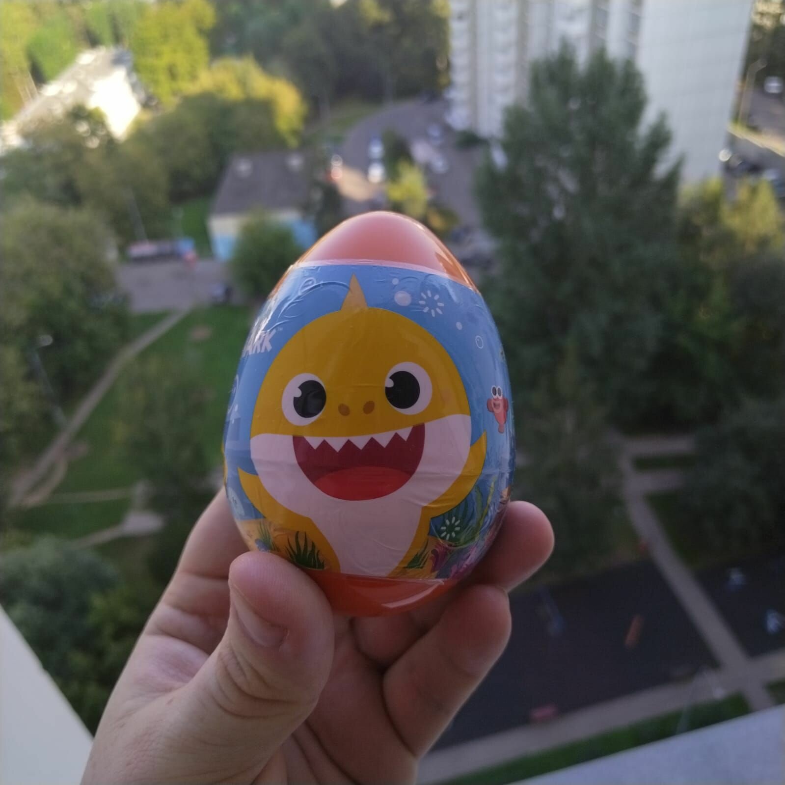 Яйцо акулка