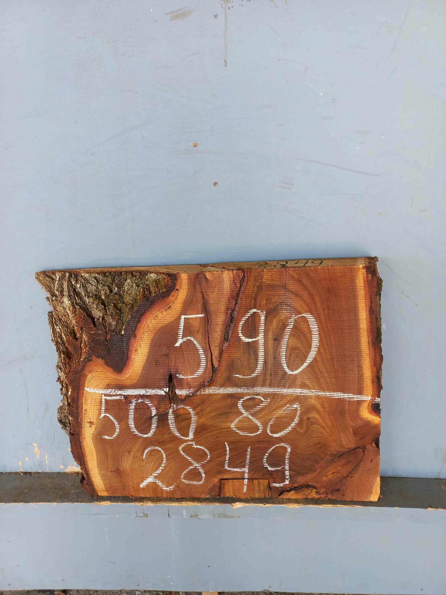 Слэб натурального дерева твердых пород Карагач №2849, 8*52*50 см, доклес