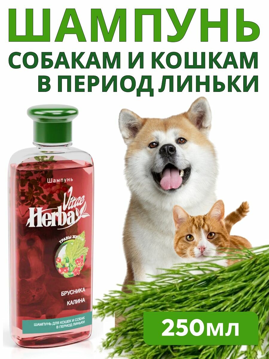 Herba Vitae шампунь для собак и кошек в период линьки 250мл