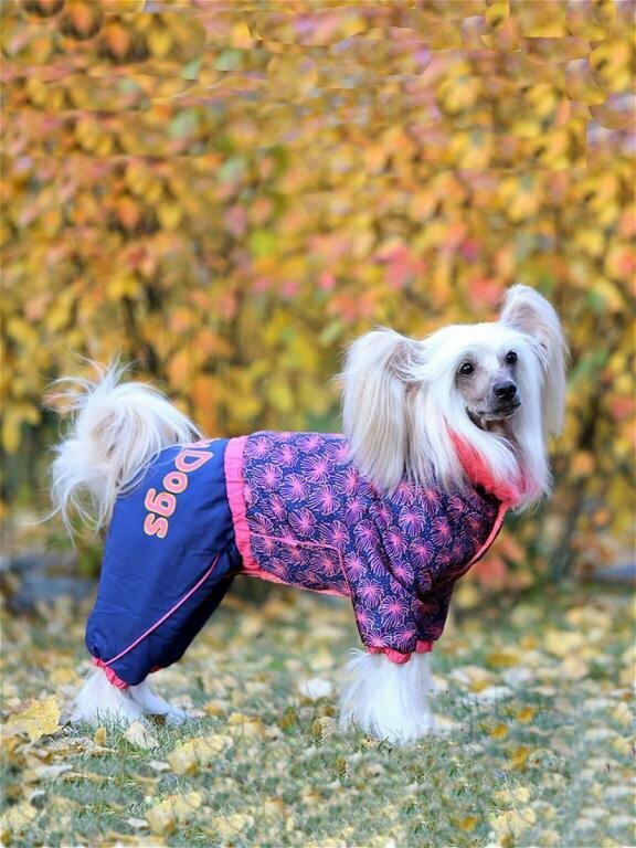 For my dogs Комбинезон розовый для девочек 16 (хохлатая, барбансон, шпиц, карликовый пудель)