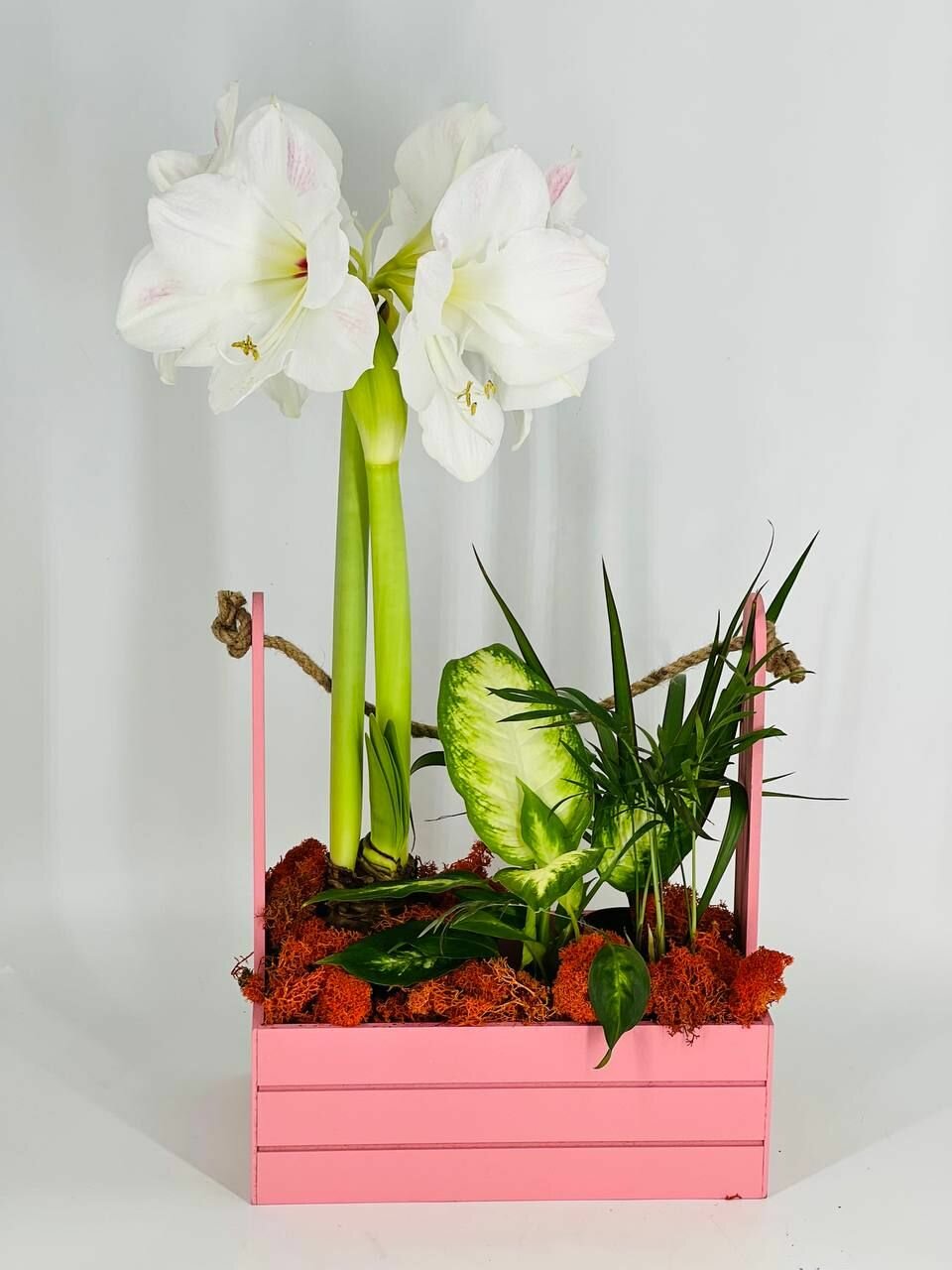 Первоцветы в подарок. Амариллис, Гиацинт, Крокусы, Диффенбахия, Пальма, Юкка. Композиция комнатных растений в деревянном ящике