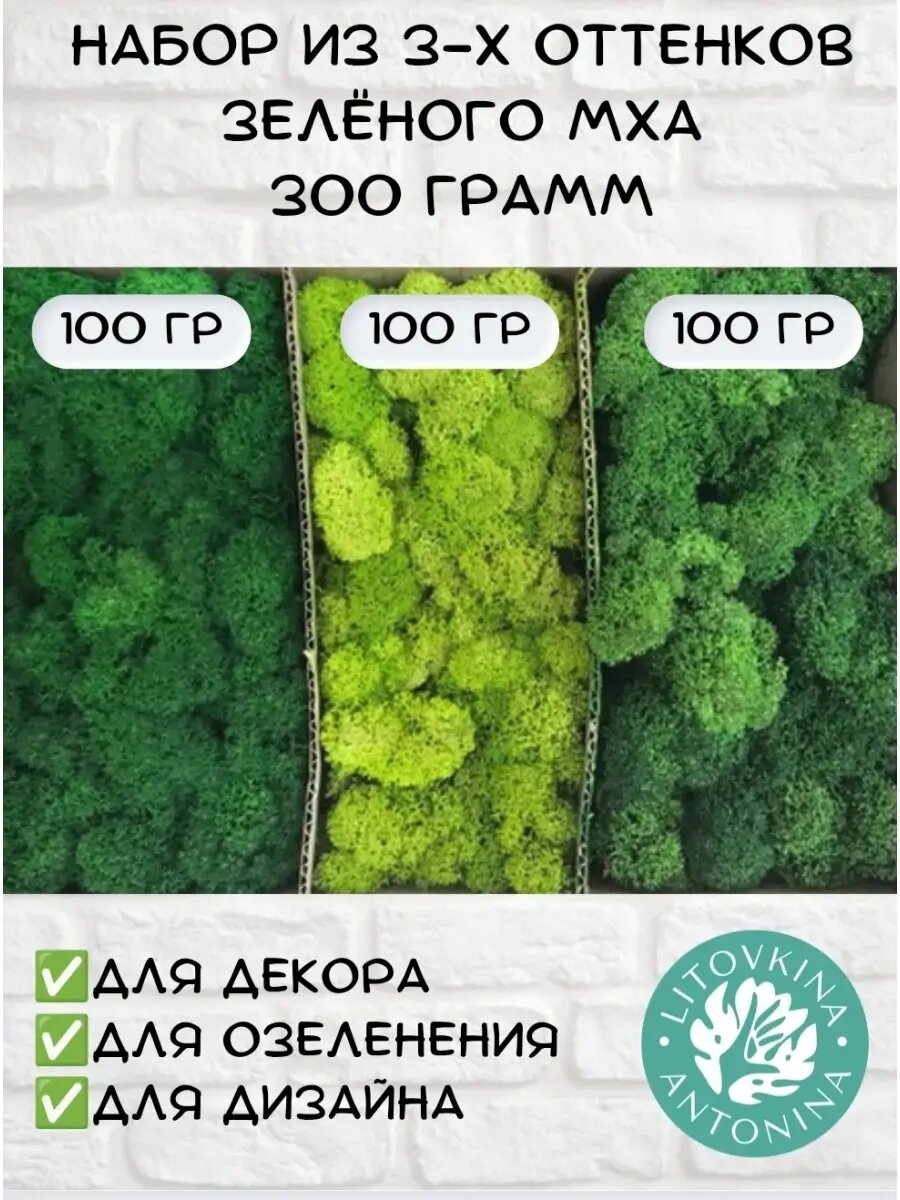 Набор декоративный стабилизированный мох ягель