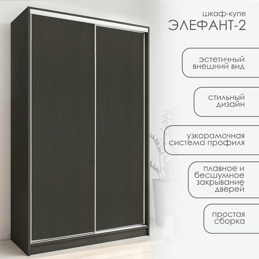 Шкаф-купе Элефант-2, 120*220*60, венге цаво, с зеркалом, с ящиками